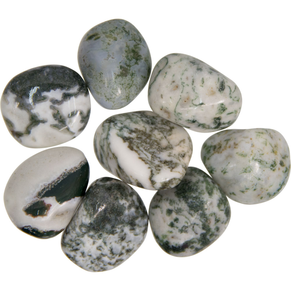 Tumbled Stones Tree Agate (1lb): Kheops International